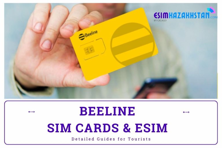 Best Beeline SIM Cards for Tourists 2024