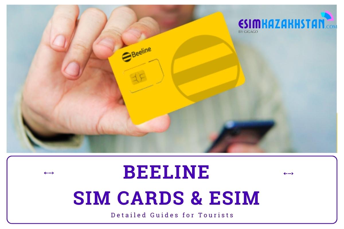 Best Beeline SIM Cards for Tourists 2024